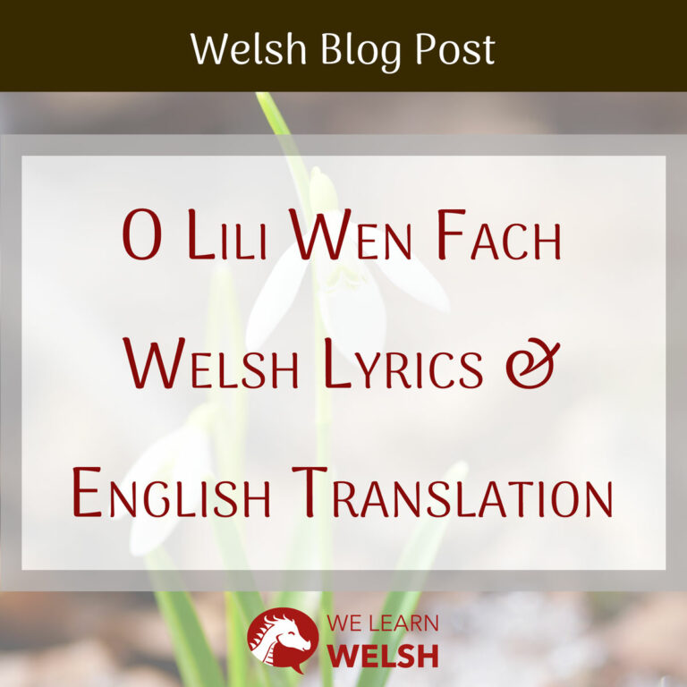 O Lili Wen Fach - Welsh Lyrics & English Translation - We Learn Welsh