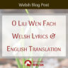 O Lili Wen Fach - Welsh Lyrics & English Translation - We Learn Welsh