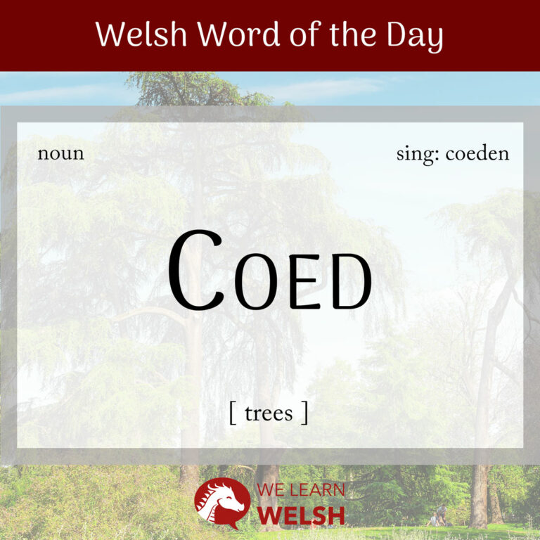 Welsh Word of the Day: Coed (trees) - We Learn Welsh