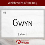 Welsh Word of the Day: Gwyn (white) - We Learn Welsh