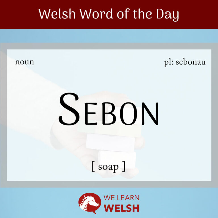 Welsh Word of the Day: Sebon (soap) - We Learn Welsh