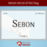 Welsh Word of the Day: Sebon (soap) - We Learn Welsh
