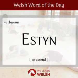 Welsh Word of the Day: Estyn (to extend) - We Learn Welsh