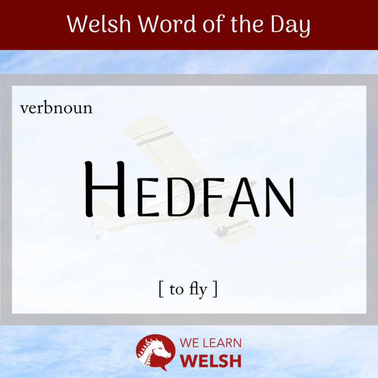 Welsh Word of the Day: Hedfan (to fly) - We Learn Welsh