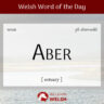 Welsh Word of the Day: Aber (estuary) - We Learn Welsh