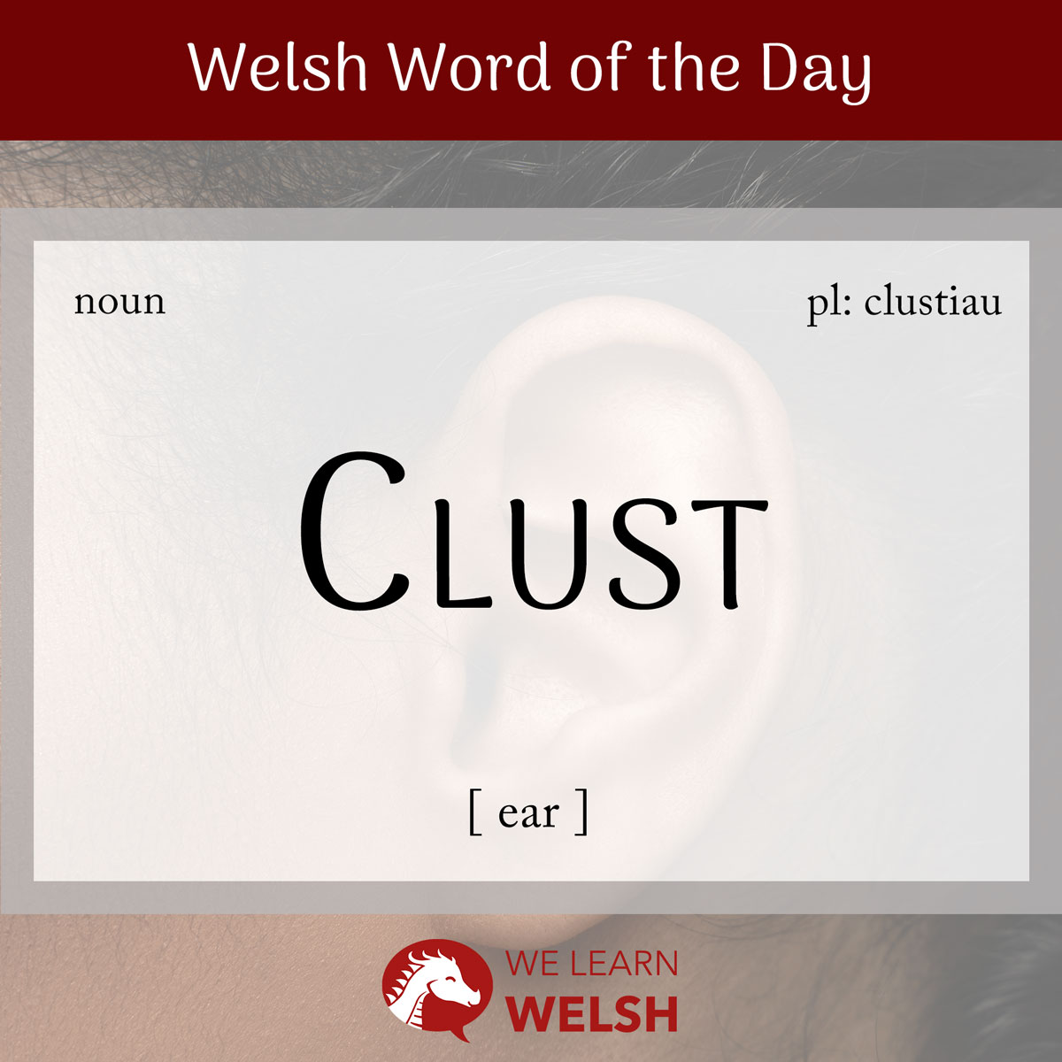 Welsh Word of the Day: Clust (ear) - We Learn Welsh