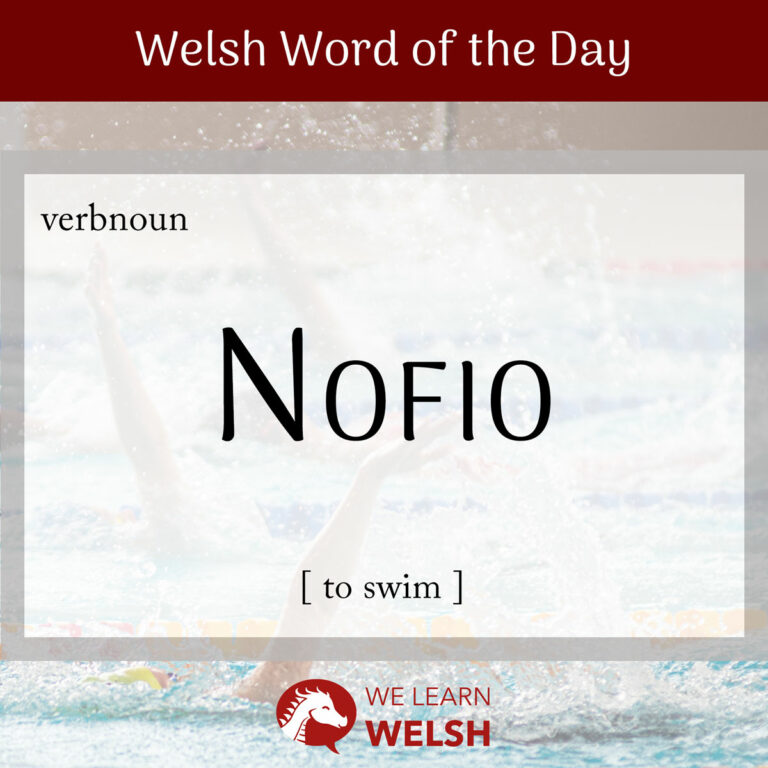Welsh Word of the Day: Nofio (to swim) - We Learn Welsh