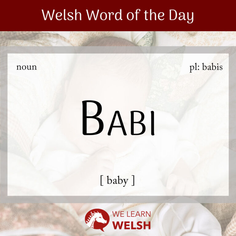 Home - We Learn Welsh
