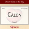 Welsh Word of the Day: Calon (heart) - We Learn Welsh