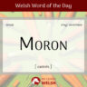 Welsh Word of the Day: Moron (carrots) - We Learn Welsh