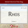 Welsh Word of the Day: Rhos (moor / roses) - We Learn Welsh