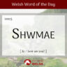 Welsh Word of the Day: Shwmae (hi / how are you) - We Learn Welsh