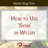 How to Use 'Sydd' in Welsh - We Learn Welsh