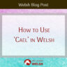 How to Use ‘Cael’ in Welsh - We Learn Welsh