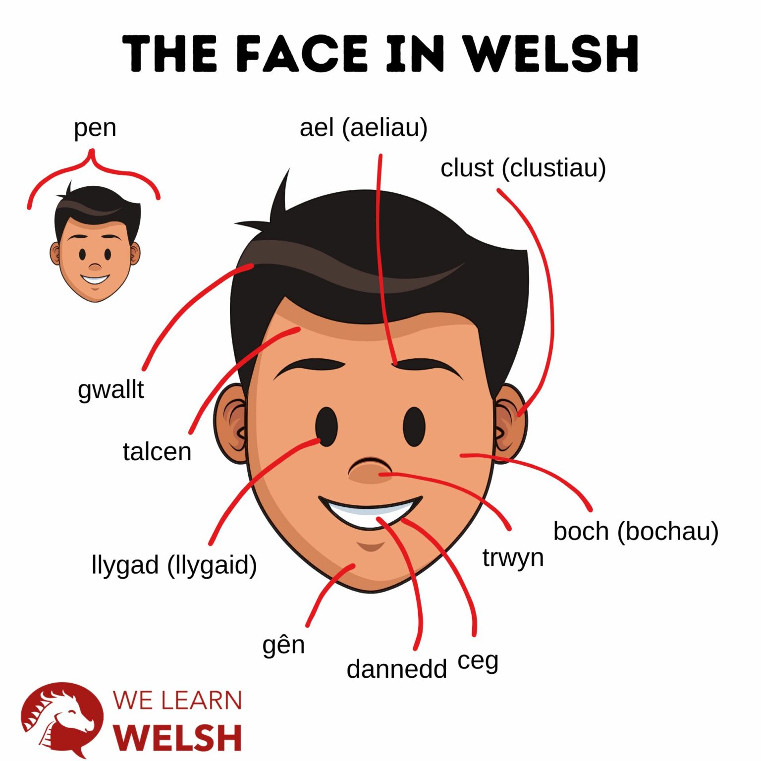 Welsh Word of the Day: Wyneb (face) - We Learn Welsh