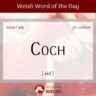 Welsh Word of the Day: Coch (red) - We Learn Welsh