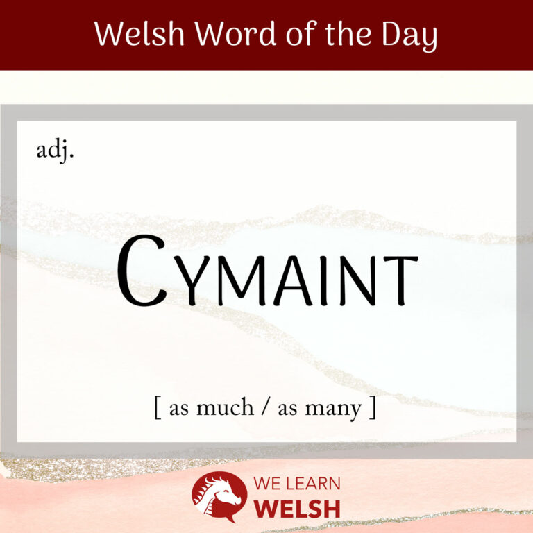 Welsh Word of the Day: Cymaint (as much) - We Learn Welsh