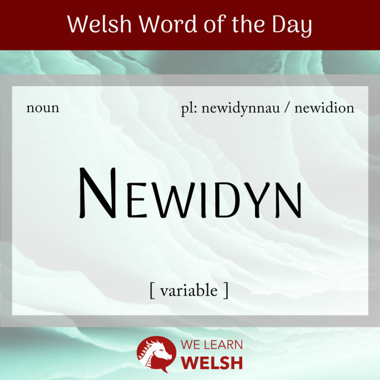 Welsh Word of the Day: Newidyn (variable) - We Learn Welsh