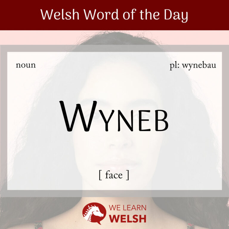 Welsh Word of the Day: Wyneb (face) - We Learn Welsh