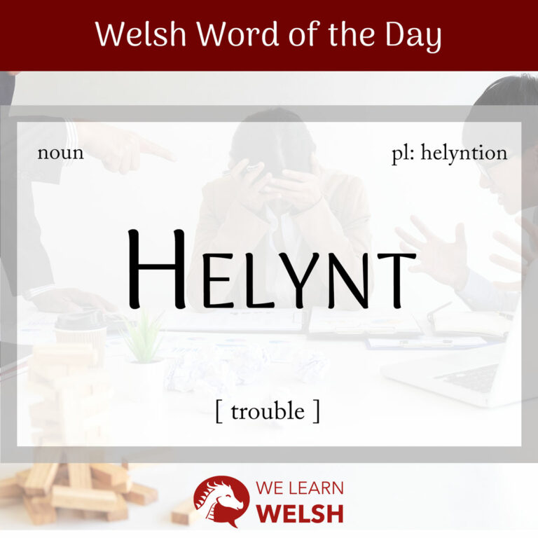Welsh Word of the Day: Helynt (trouble) - We Learn Welsh